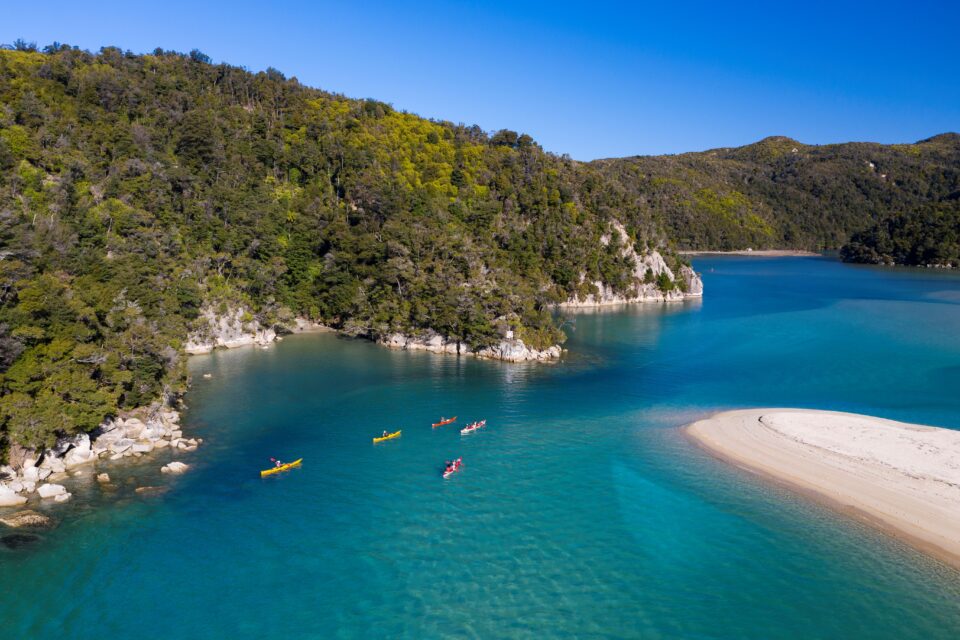 Discover Nelson: An Ideal Hub for Learning & Adventure